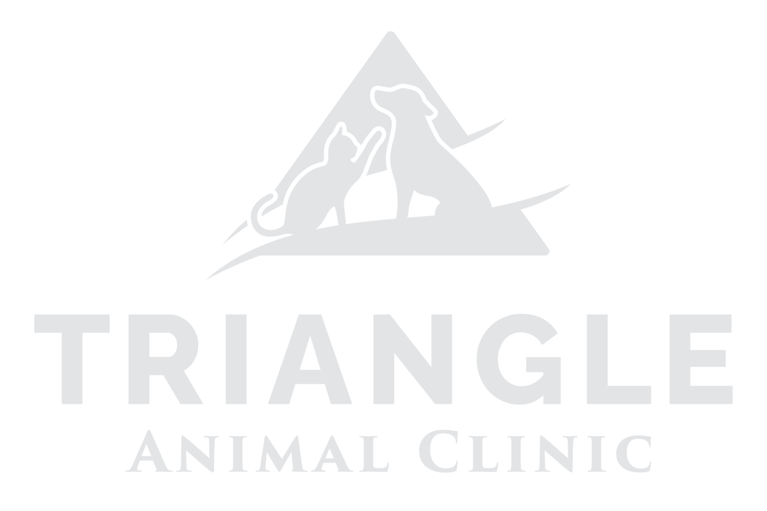 Veterinarian and Animal Hospital in Conroe, TX | Triangle Animal Clinic